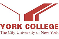 25 Best MSW Programs in New York (Online & Campus) – 2024